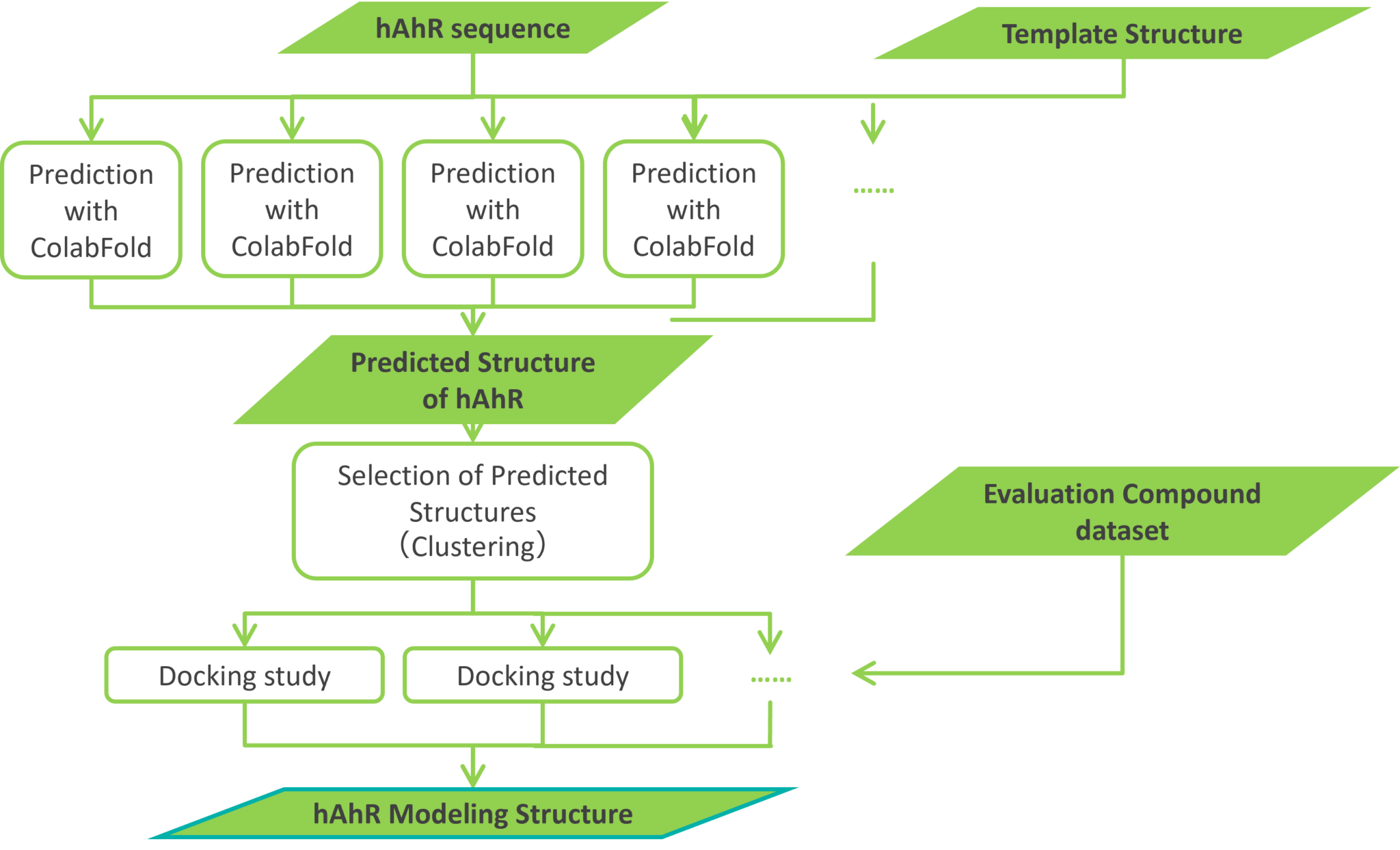 【Case study】Target Analysis | 株式会社ゼウレカ